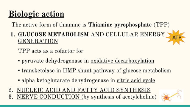 Thiamine-Biologic action, Requirements, Dietary sources, Deficiency ...