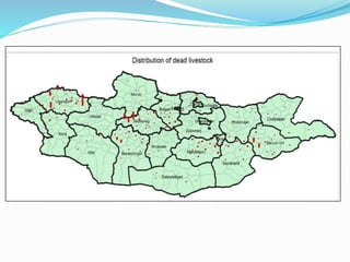 Dzud risk mapping for geomeeting | PPTX