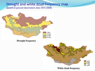 Dzud risk mapping for geomeeting | PPTX