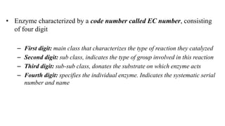 E 01 Classification and Properties of enzymes | PPT