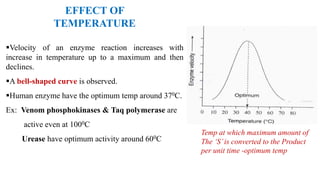 E 02 Factors affecting enzyme activity | PPT