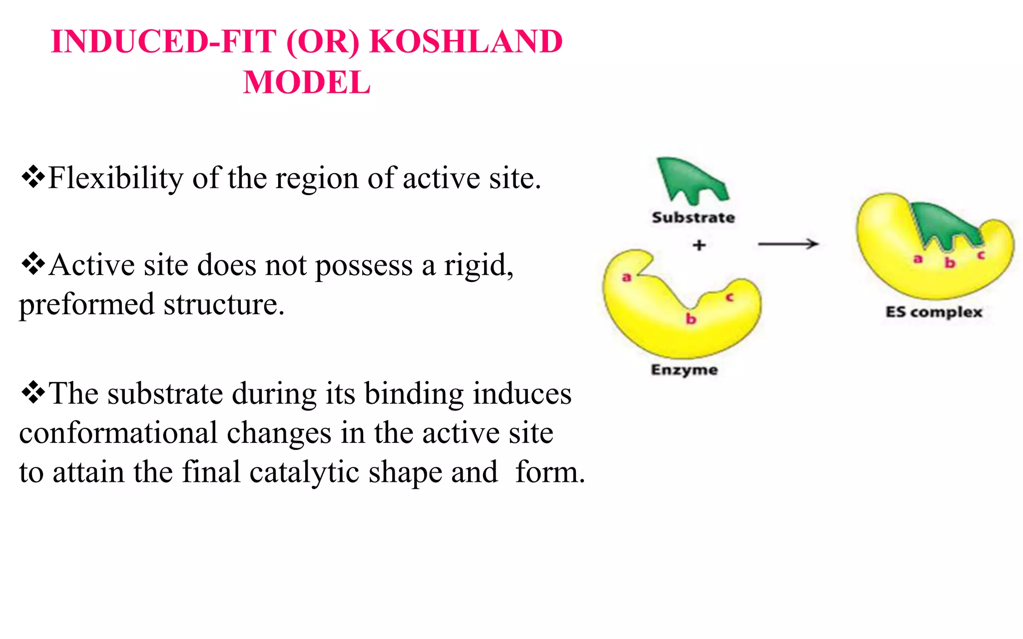 E 03 Mechanism of Enzyme action & Enzyme specificity | PPTX