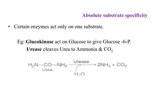 E 03 Mechanism of Enzyme action & Enzyme specificity | PPTX