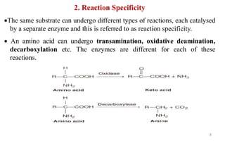 E 03 Mechanism of Enzyme action & Enzyme specificity | PPTX