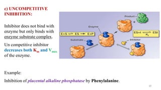 E 04 Enzymes Inhibition | PPT