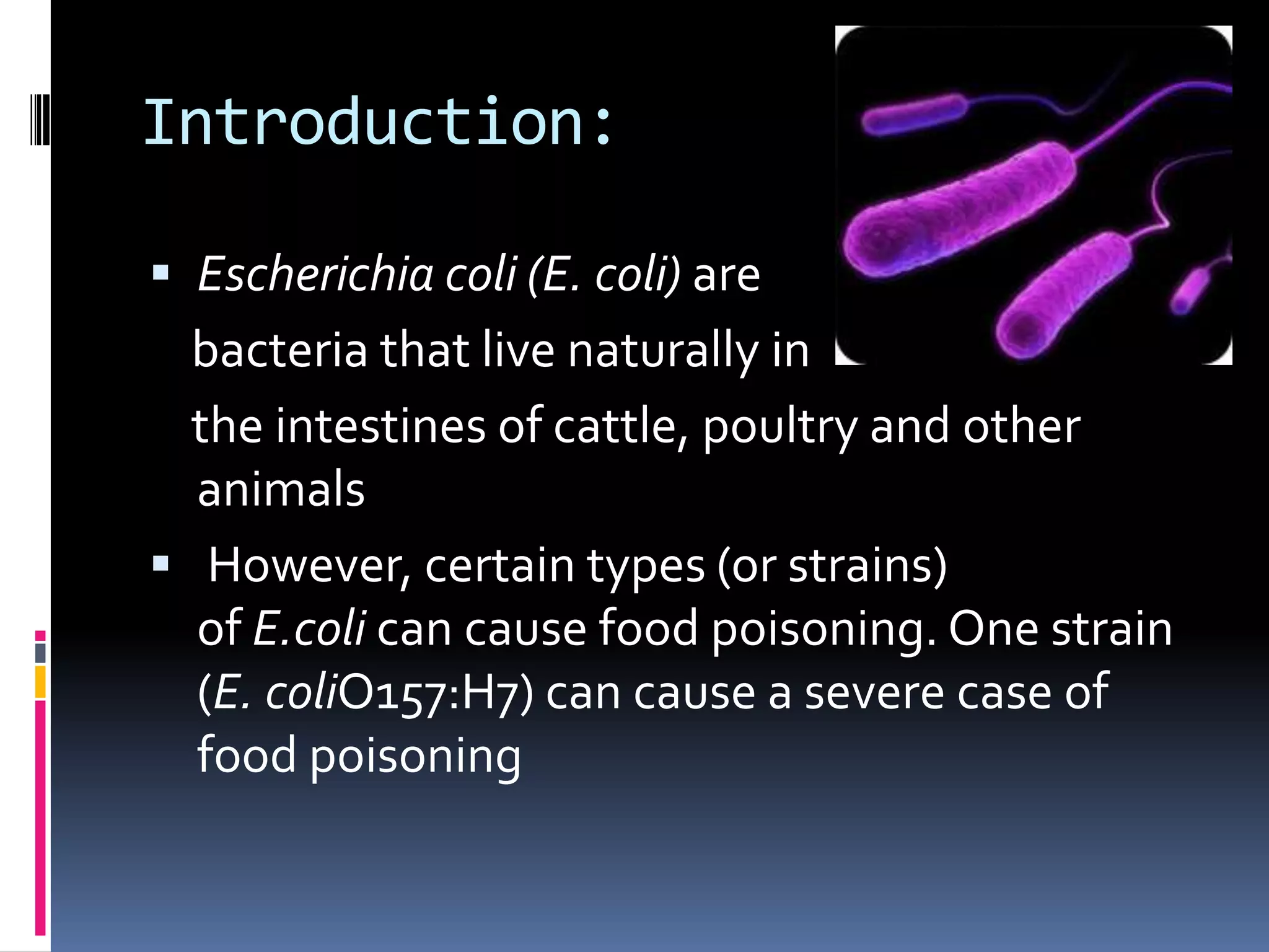 E.coli o157 h7 | PPTX