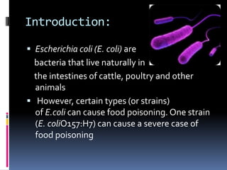 E.coli o157 h7 | PPTX