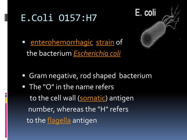 E.coli o157 h7 | PPTX