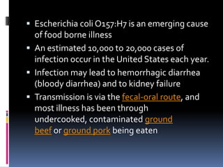 E.coli o157 h7 | PPTX
