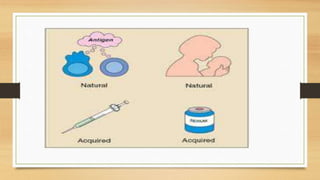 Slides on the Immune System | PPTX