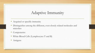 Slides on the Immune System | PPTX