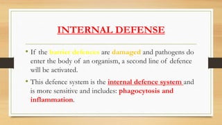 Slides on the Immune System | PPT