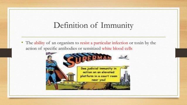 Slides on the Immune System | PPT