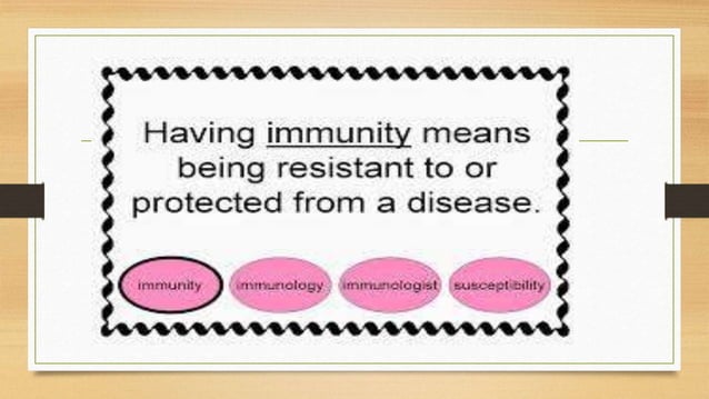 Slides on the Immune System | PPT