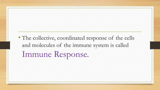 Slides on the Immune System | PPT
