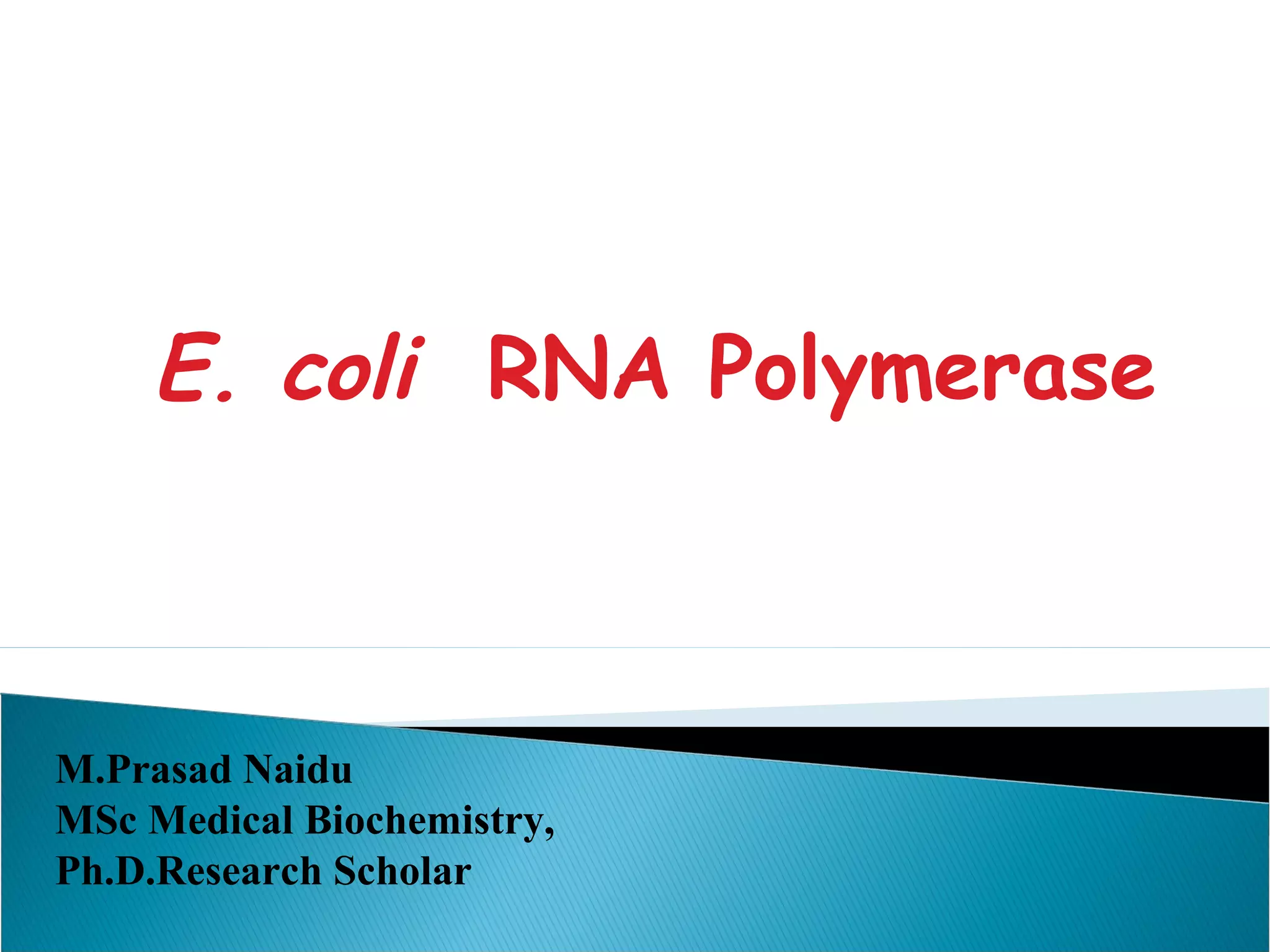 E.coli rna polymerase | PPT