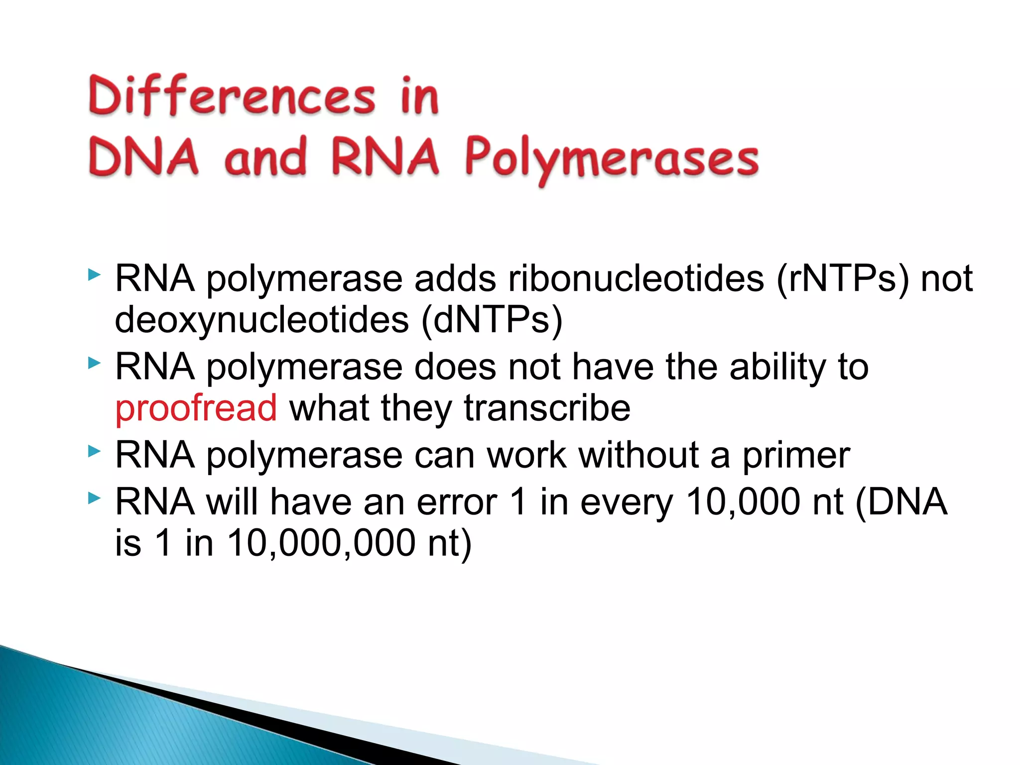 E.coli rna polymerase | PPT