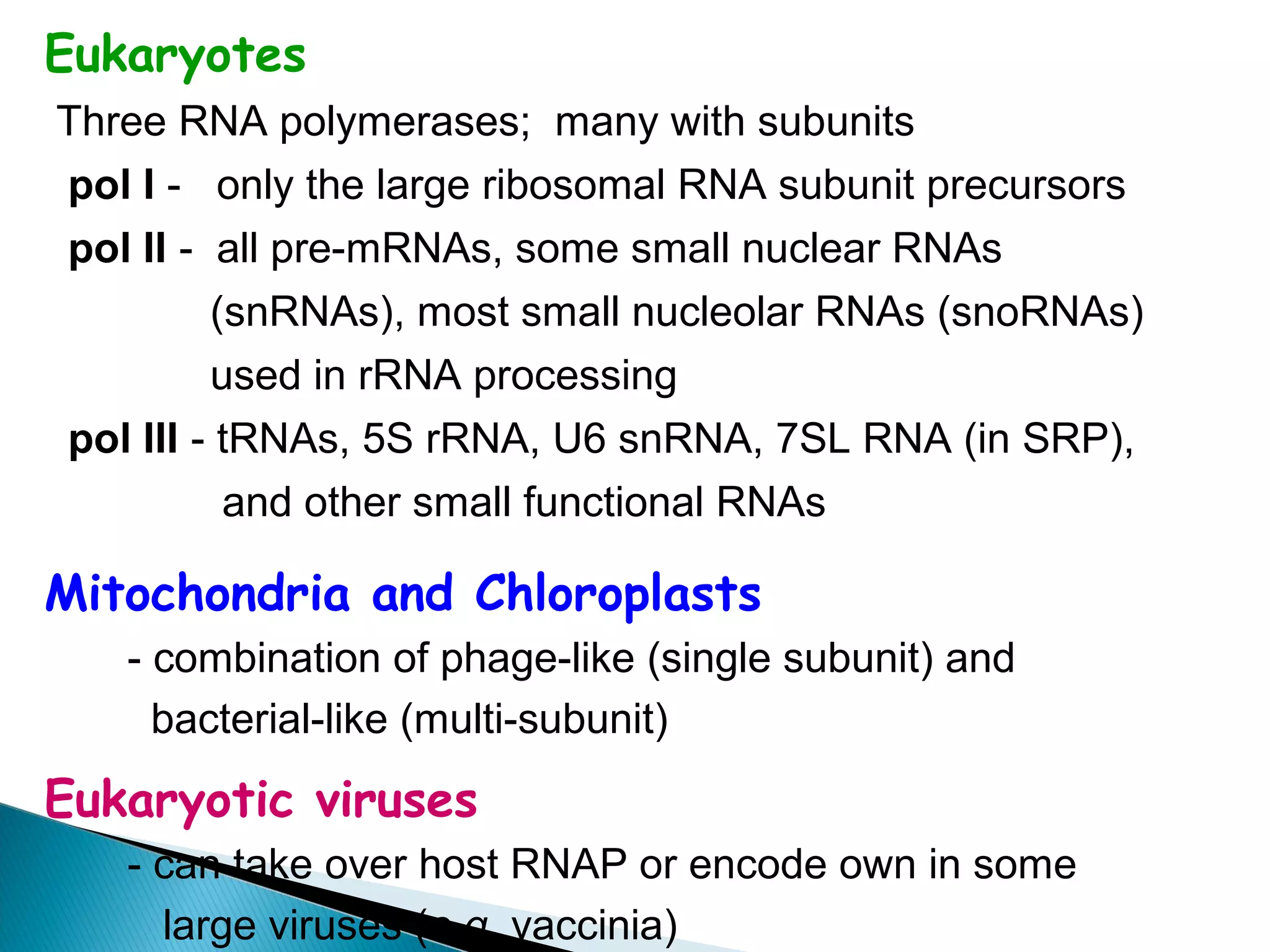 E.coli rna polymerase | PPT