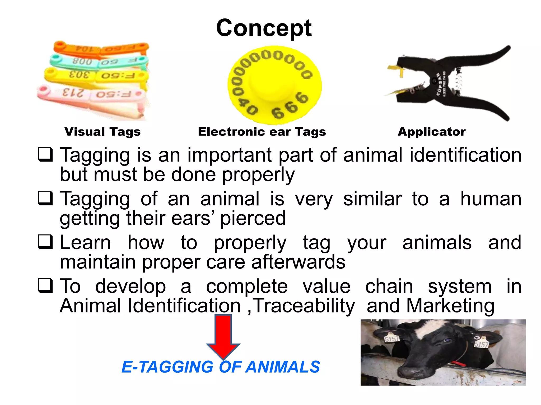 E.tagging of animal in cattle marketl | PDF