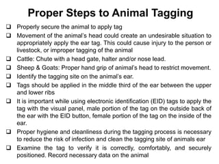 E.tagging of animal in cattle marketl | PDF