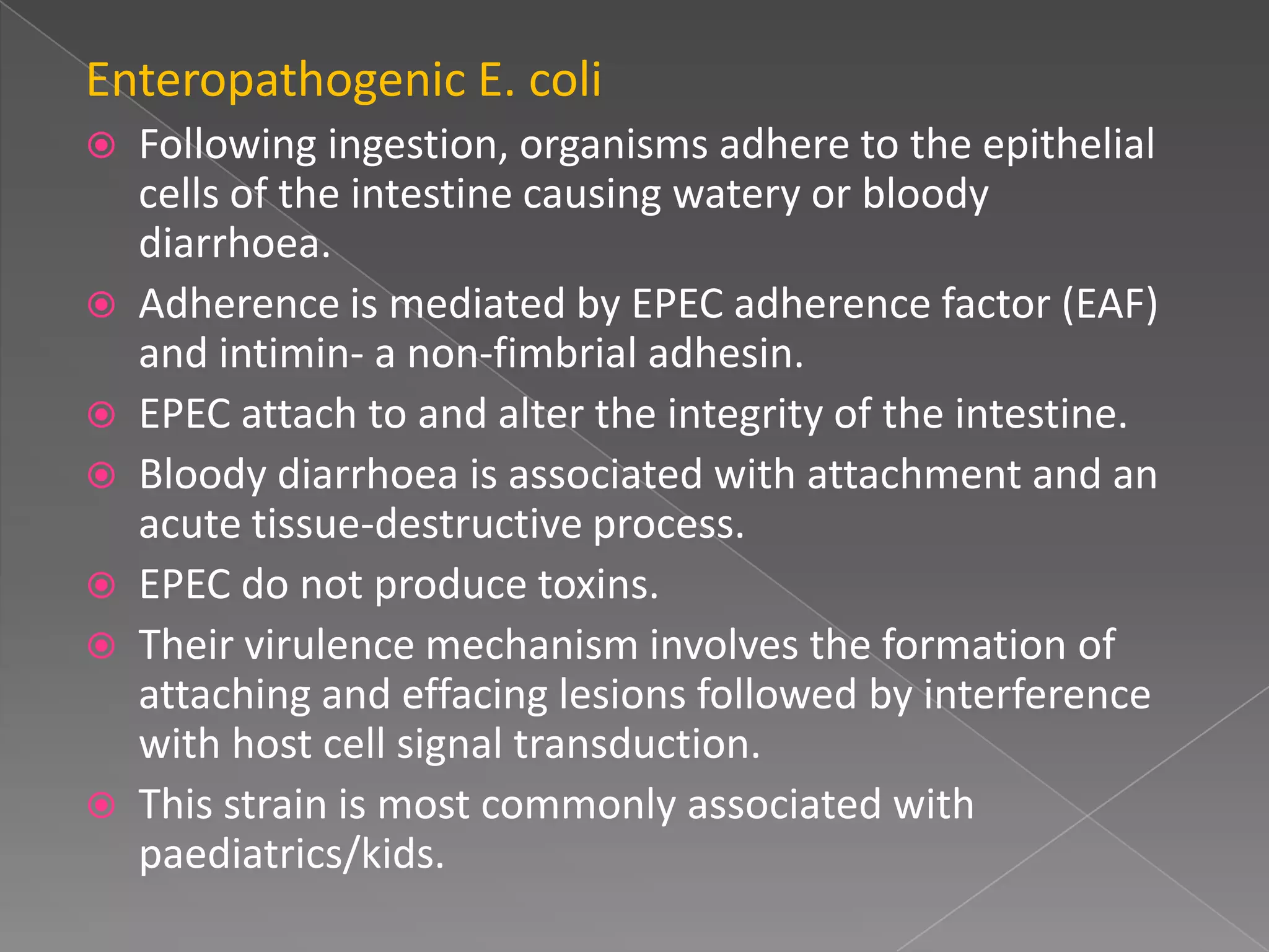 E. coli | PPTX