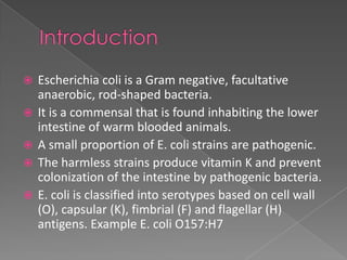 E. coli | PPTX
