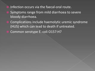 E. coli | PPTX | Digestive Disorders | Diseases and Conditions