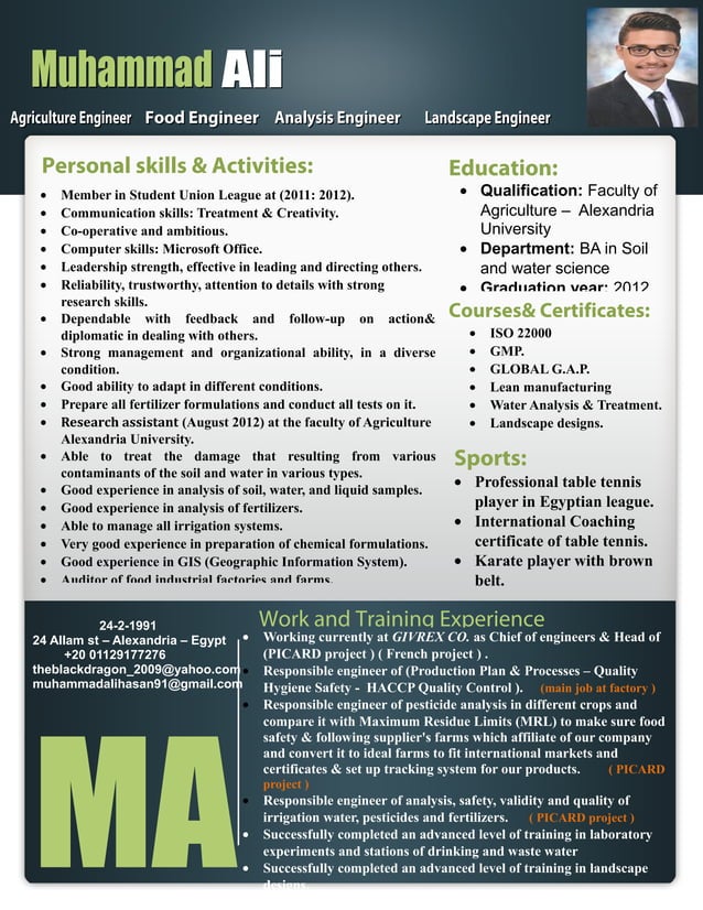 E.muhammad ali cv 2 | DOC | Professional School | Postgraduate Education