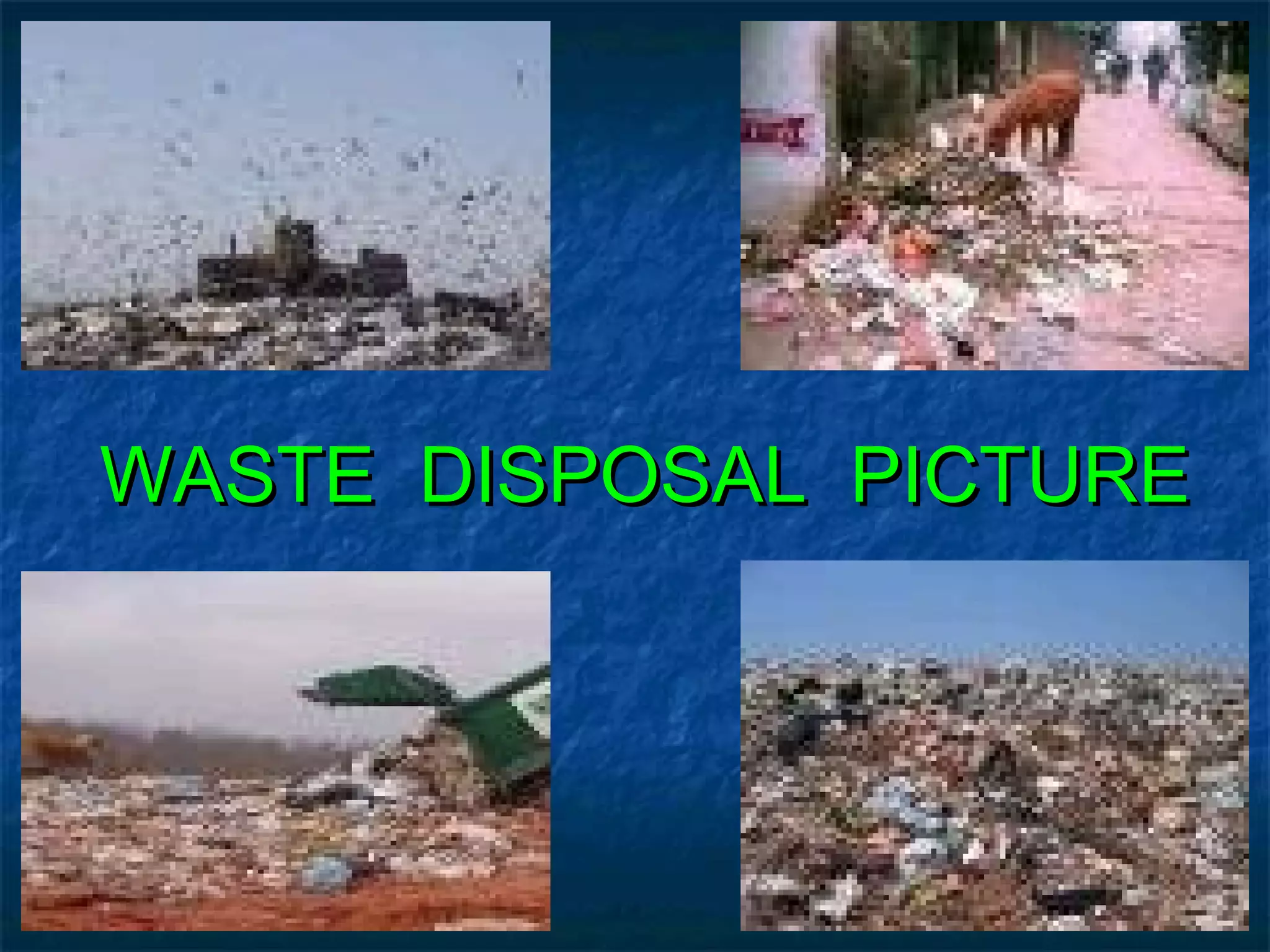 Waste Generation & Management | PPT