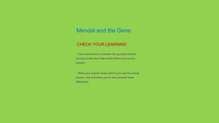 E. mendel and the gene check your learning | PPT
