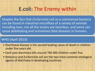 Diarrheogenic E.coli