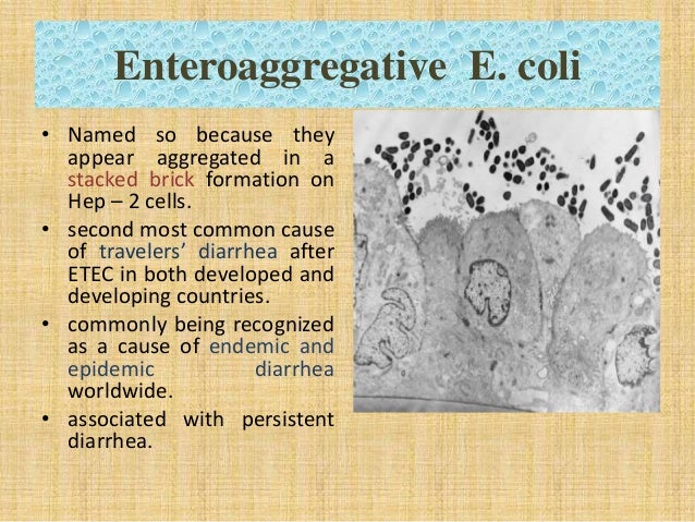 Diarrheogenic E.coli