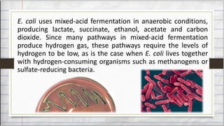 E.coli 0000 | PPT