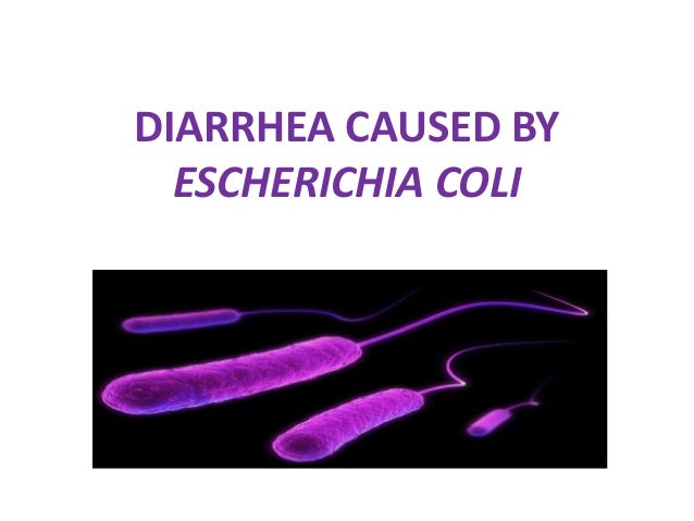 E.coli