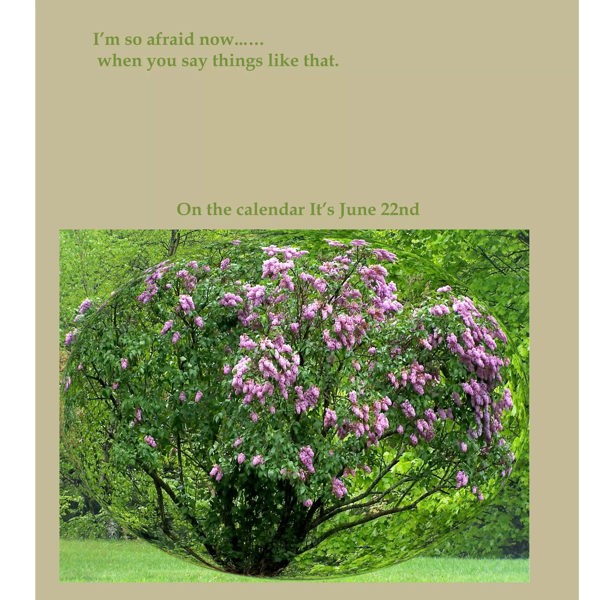 Headlines of Almost May | PDF