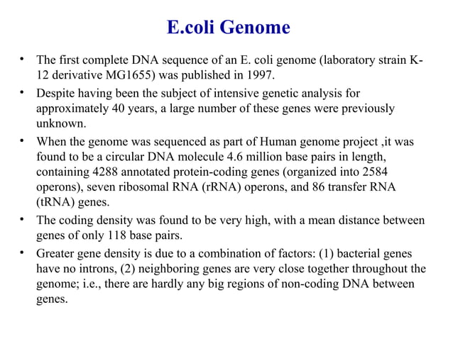 E.coli as model organism and its life cycle. | PPT