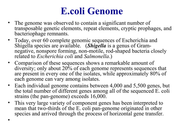 E.coli as model organism and its life cycle. | PPT
