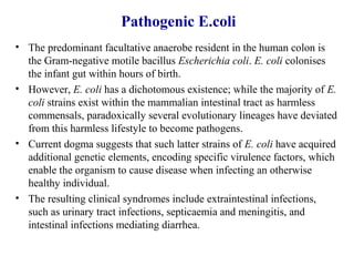 E.coli as model organism and its life cycle. | PPT