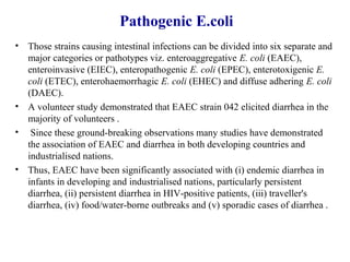 E.coli as model organism and its life cycle. | PPT