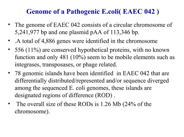 E.coli as model organism and its life cycle. | PPT