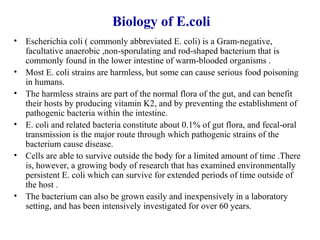 E.coli as model organism and its life cycle. | PPT
