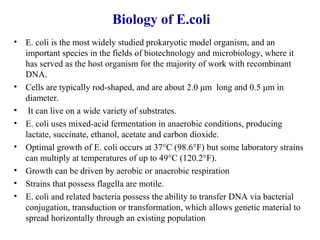 E.coli as model organism and its life cycle. | PPT