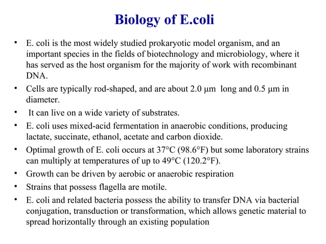 E.coli as model organism and its life cycle. | PPT