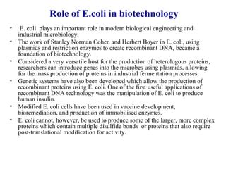 E.coli as model organism and its life cycle. | PPT
