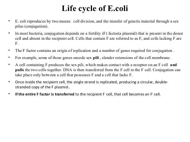 Li As Model Organism And Its Life Cycle
