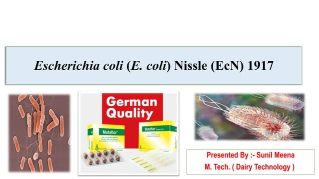 Escherichia coli (E. coli) Nissle (EcN) 1917 | PPT