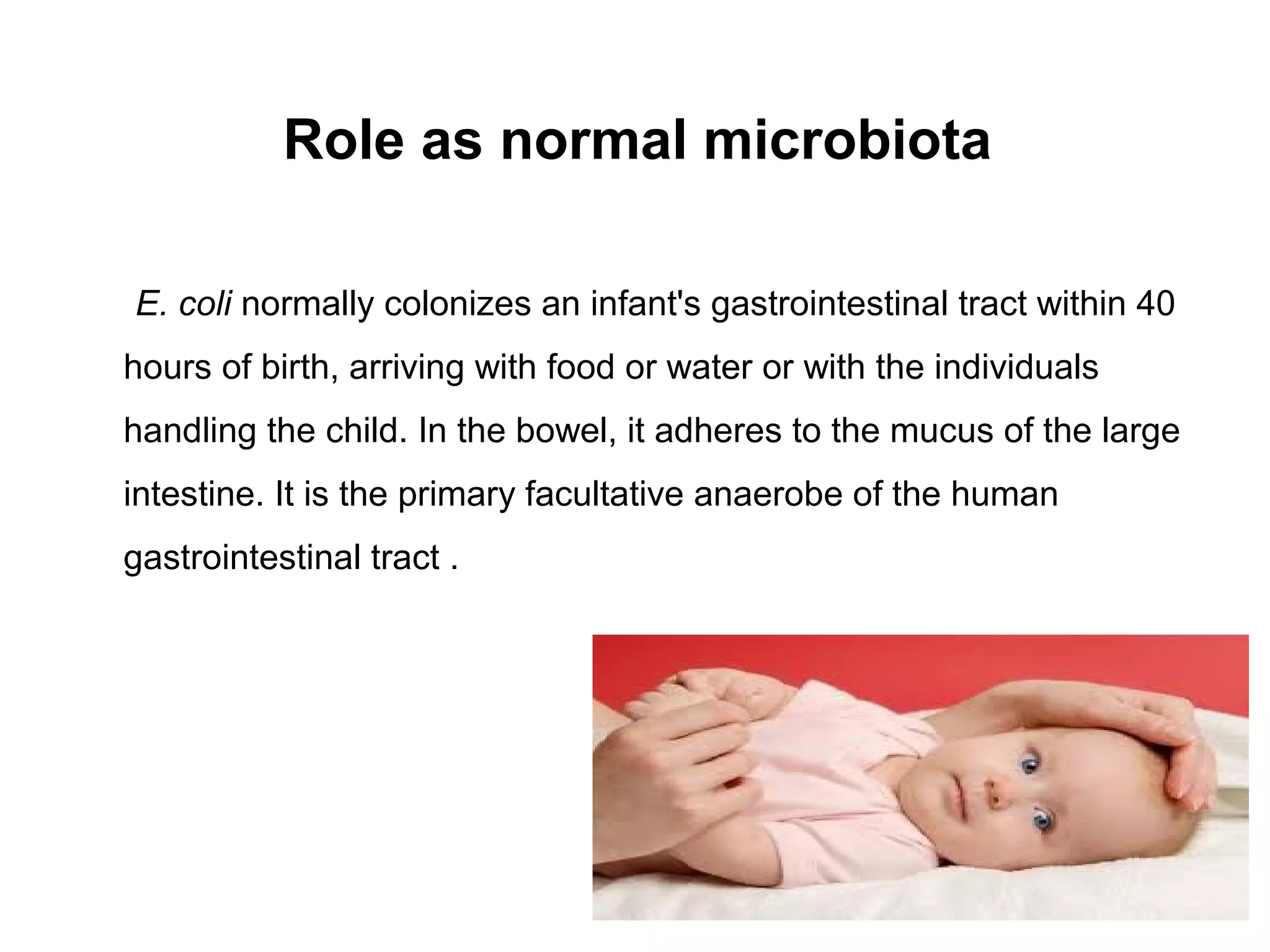 E.coli