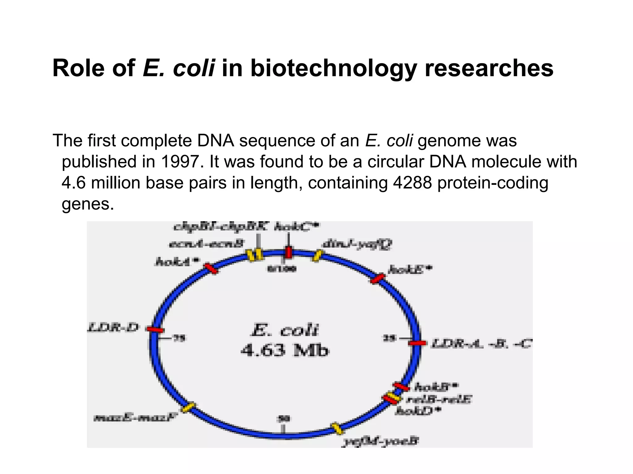 E.coli