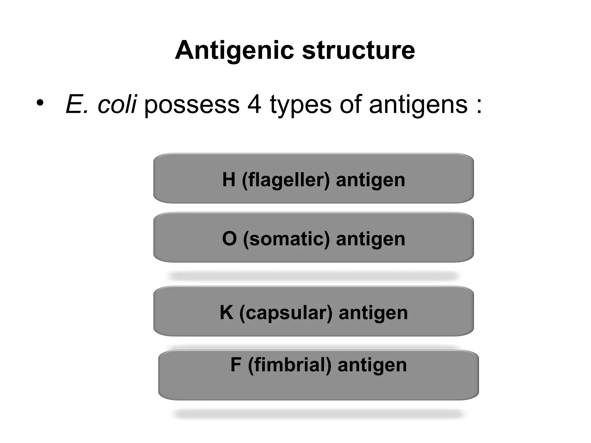 E.coli