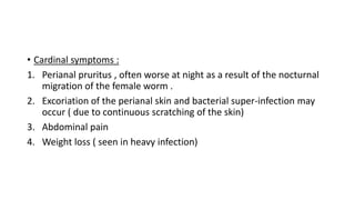 E.vermicularis | PPTX